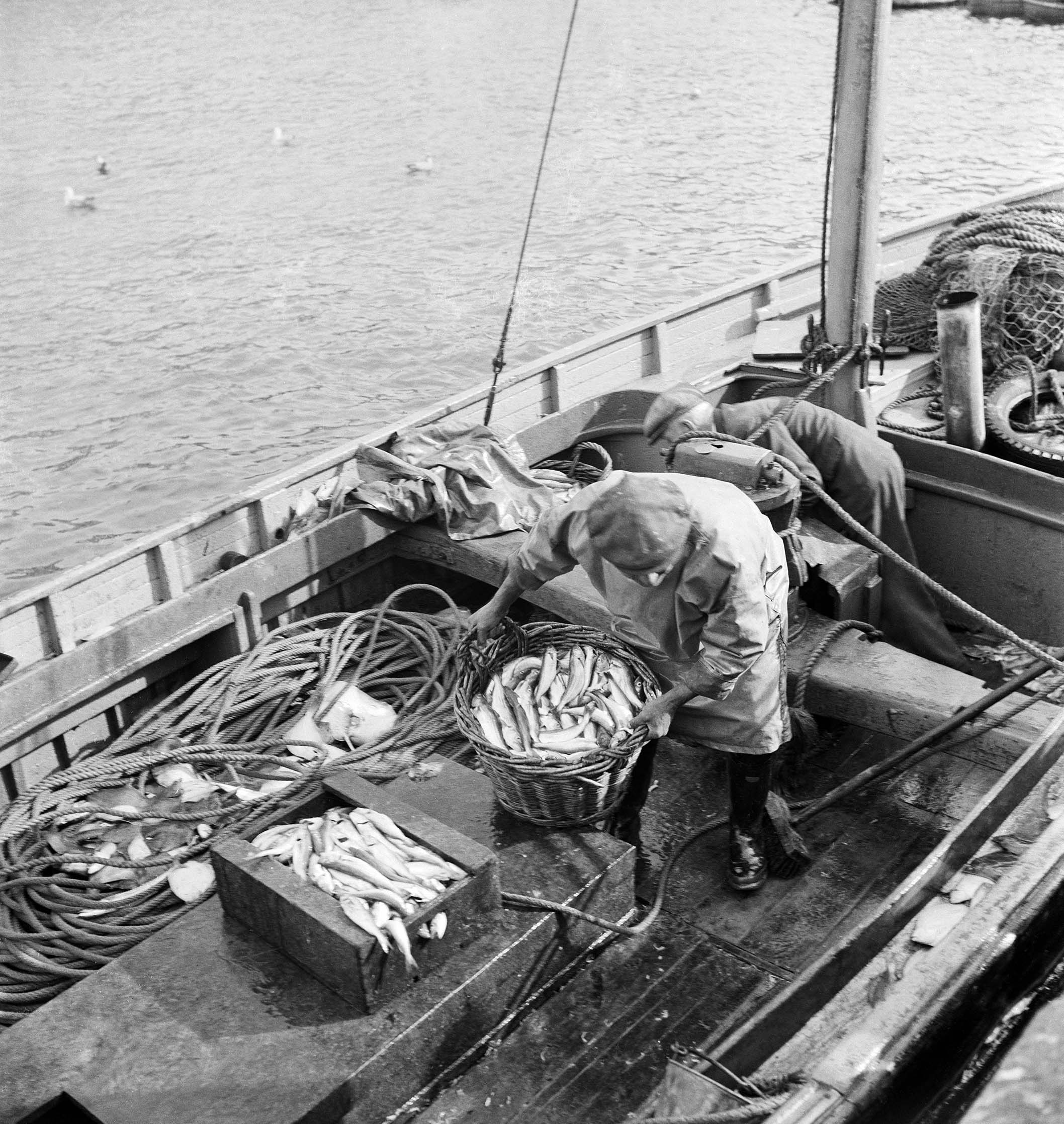Diary of the War: February 1918 | Wreck of the Week